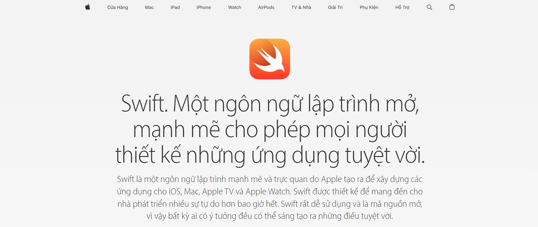 What is mobile programming? Common mobile programming languages